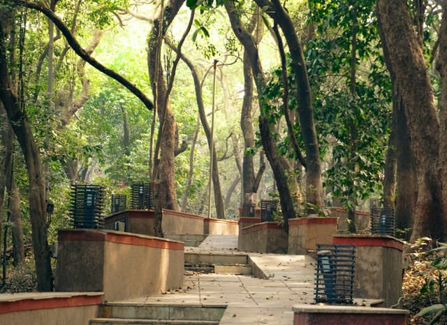 Mumbai's New Malabar Hill Elevated Nature Trail (2025): Your Complete ...